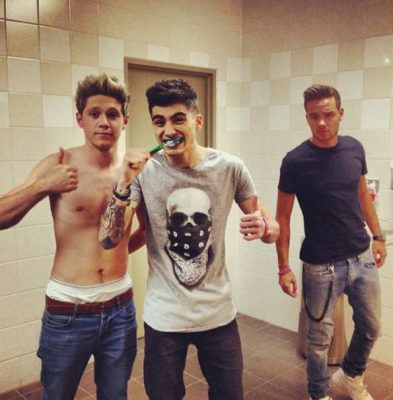 30 Zayn Malik Facts All Fans Should Know
