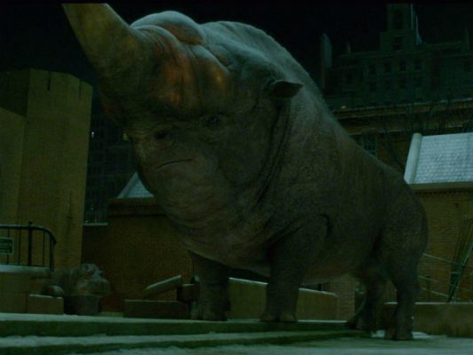 Fantastic Beasts: 40 Harry Potter Connections & Easter Eggs