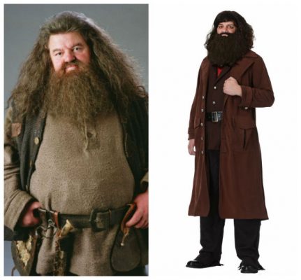 23 Harry Potter Costume Ideas - Character Outfits for Halloween